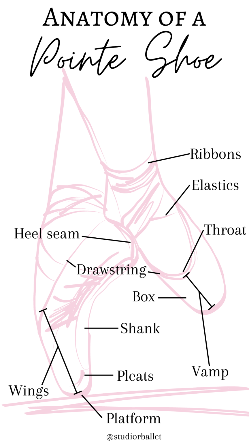 A Complete Guide to Pointe Shoes – Studio R Ballet